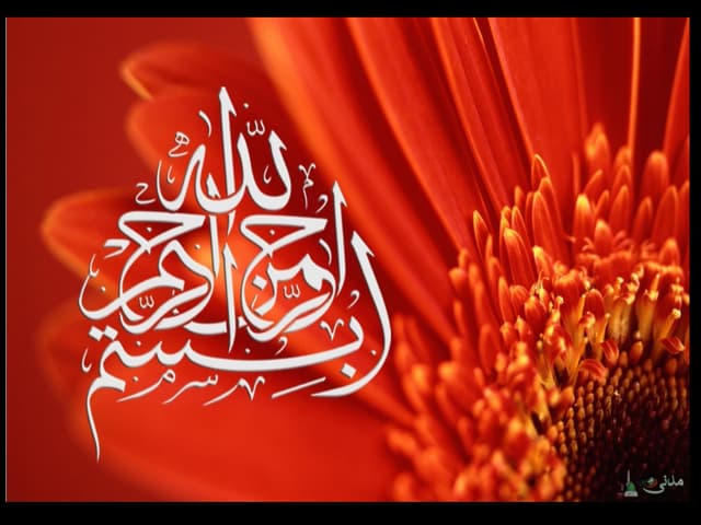 Physiology of colour vision | PPTX