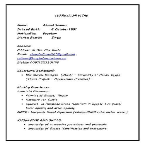 Mohamed Sobhi Hamza CV | PDF