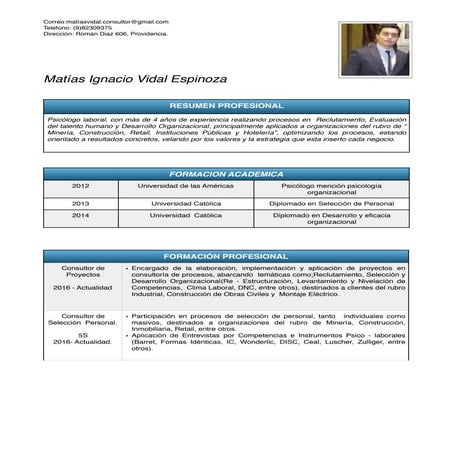C.v matías vidal 2017 | PDF