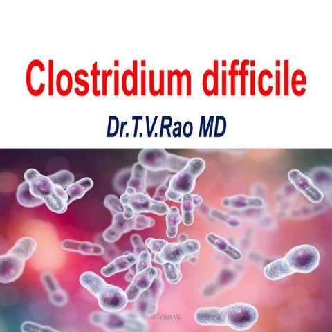 Clostridium difficile by Dr.T.V.Rao MD | PPTX