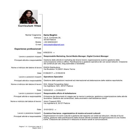 Curriculum Vitae Iaria Beghin | PDF | Business | Business and Finance