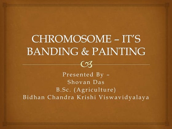 Chromosomal banding technique | PPT