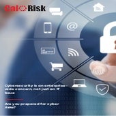 Cybersecurity for Senior Management and Risk Officers | PDF