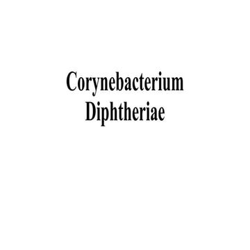 Corynebacterium Diphtheriae ppt for nursing students | PPTX