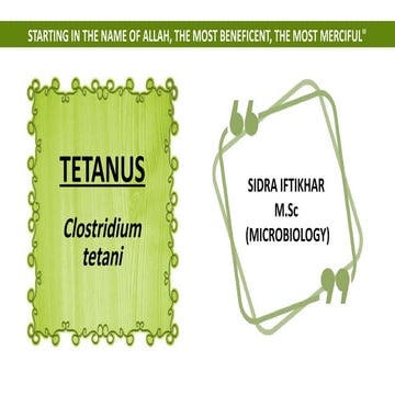 DNA TOPOLOGY: B, A AND Z DNA, LINKING NO, TWIST AND WRITHE | PPTX