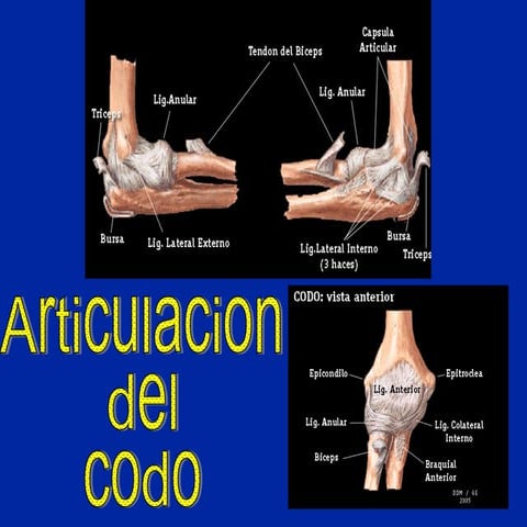 Abordaje codo | PPTX