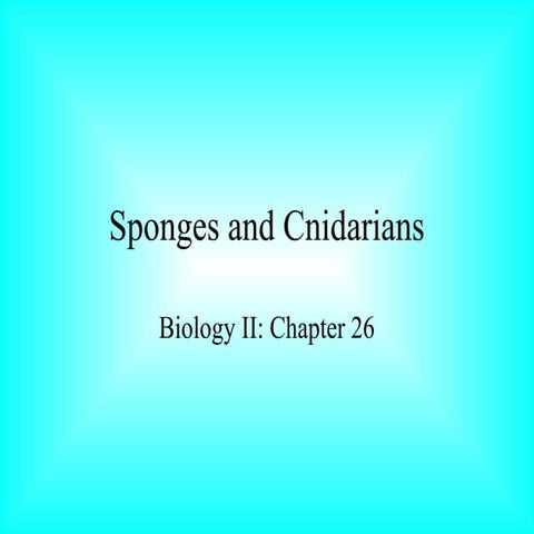 sponges and cnidarians, biology | PPT