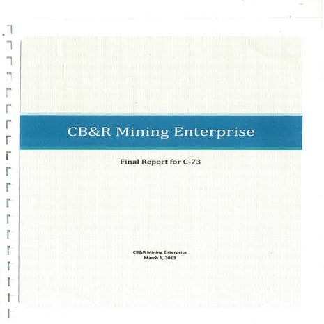 C 730001 | PDF