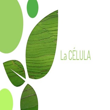 origen de las celulas y su evolucion.pptx