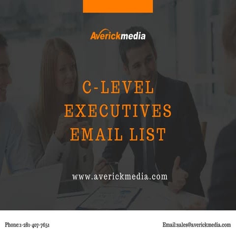 C level executives email list | PDF