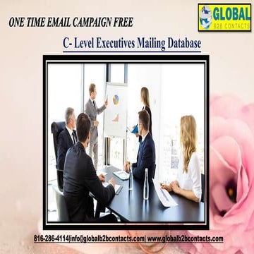 C Level Executives | DOC