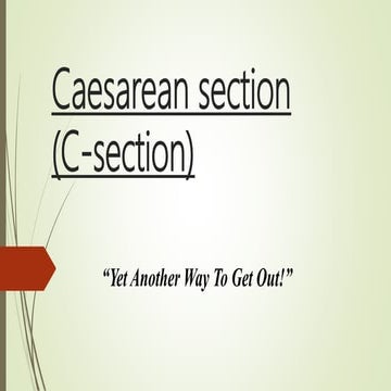 C section | PPTX