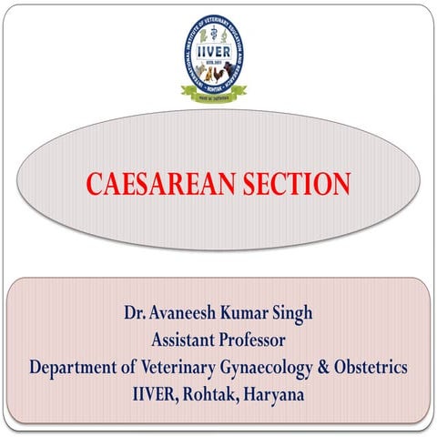C-section Class veterinary sciences.pptx