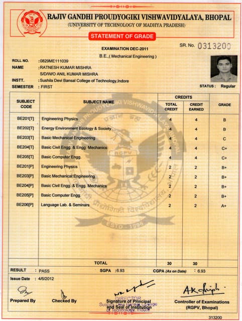 Cairo university certificate | PDF