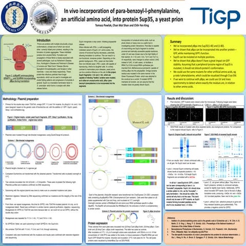 Tomasz Pawlak, TIGP SI poster, 2015 | PPT