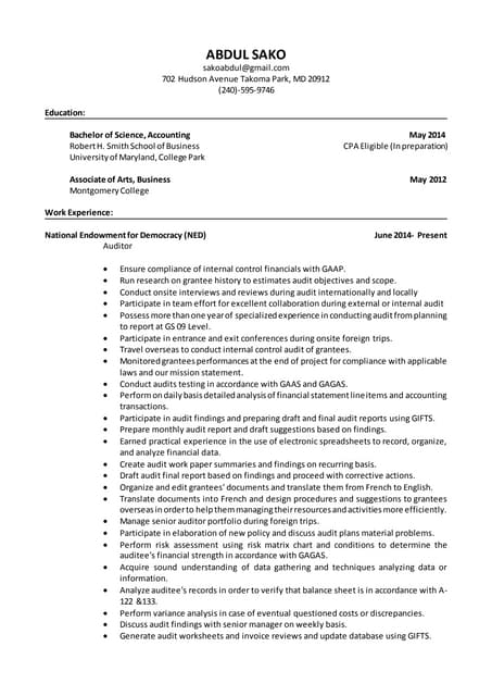 Auditor - Fully Editable ATS Resume Template.docx