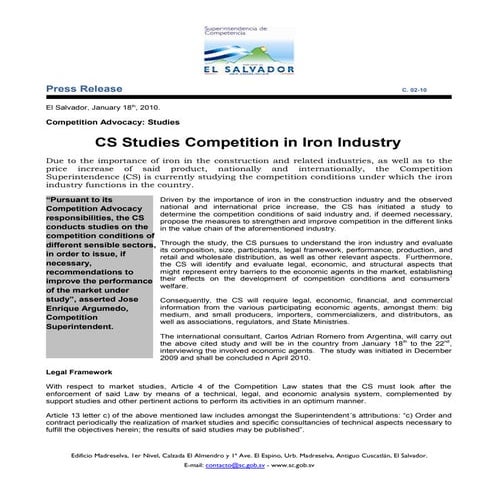 CS Studies Competition in Iron Industry | PDF