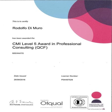 CMI Consult | PDF