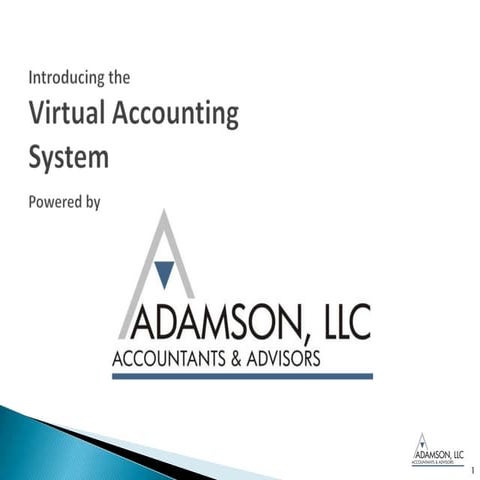 Adamson LLC Virtual Accounting System | PPTX