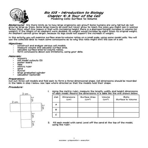 C04 Cell Surface Area | PDF