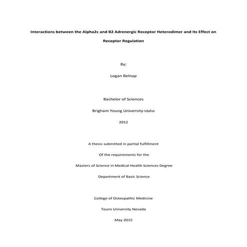 Masters Thesis | PDF