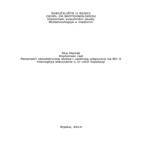 DIPLOMSKI RAD | DOCX