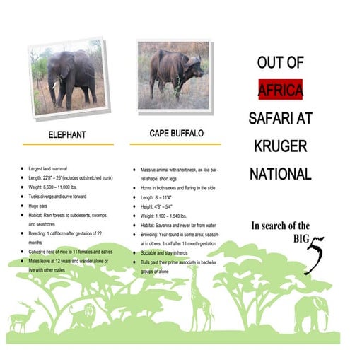 Brochure de africa safari | PDF