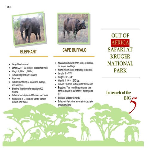 Brochure de africa safari | PDF