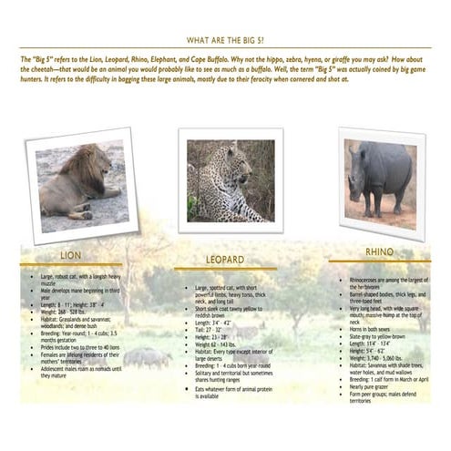 Brochure de africa safari | PDF