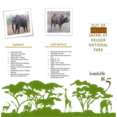 Brochure de africa safari | PDF