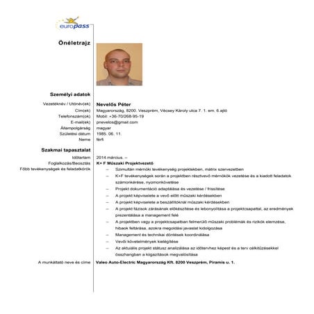 NevelősP_CV-hun | PDF