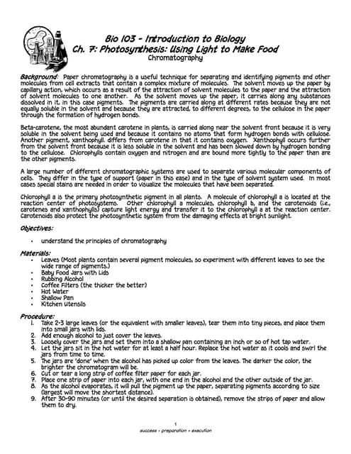 Chromatography lab report biology | PDF