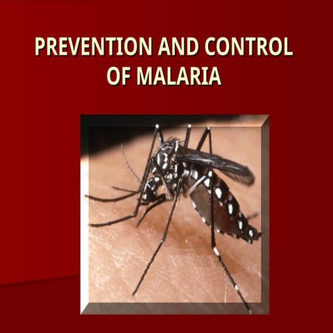 C07 P06 MALARIA PREVENTION and management | PPT