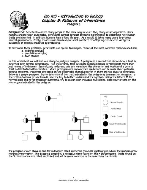 Pedigree Charts and pedigree analysis.ppt