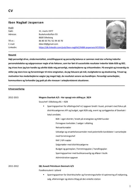 Danish CV