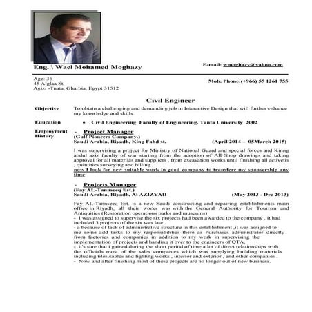 Nasser Mardani-CV-Jan 2016 | PDF