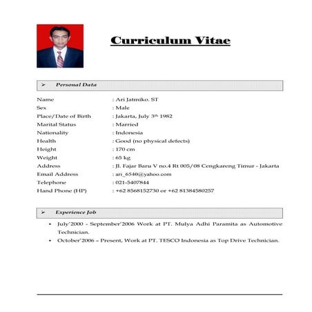 Curriculum Vitae Ari | PDF