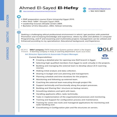 Ahmed El Hefny-CV | PDF