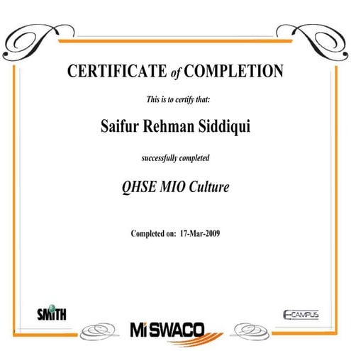 QHSE MIO Culture | PDF