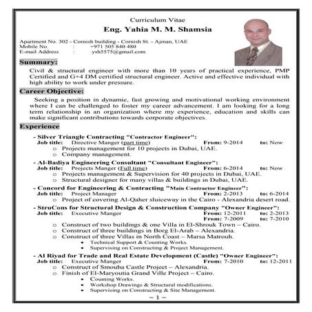 Yasar Ayaz CV | DOCX