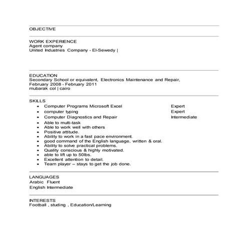 Amr_Osman Cv | PDF