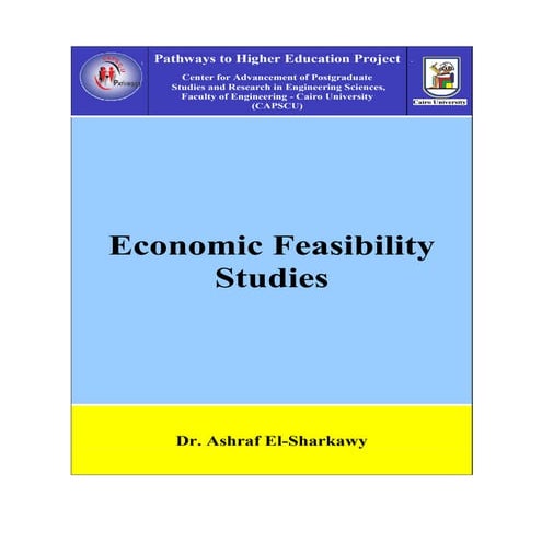 C15 1 Feasibility Studies | PDF