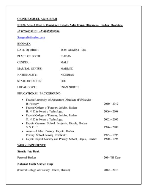 CV widodo english | PDF