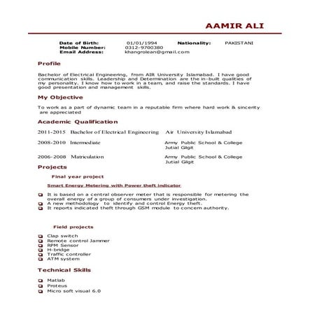 Ibrahim cv | DOC