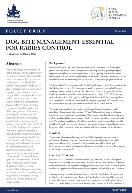 Anti Rabies Programme | PDF | Infectious Diseases | Diseases and Conditions