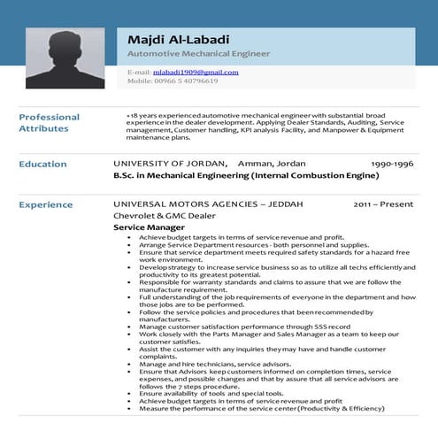 amer modified CV | DOC