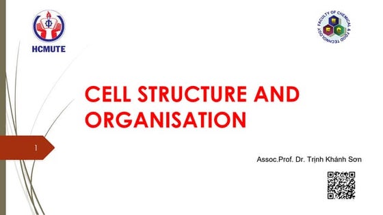 Bacterial cytology cell inclusions | PPT