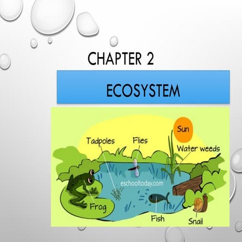 12.How-Nature-Works-in-Harmony.ppt/8th class science curiosity/by k ...