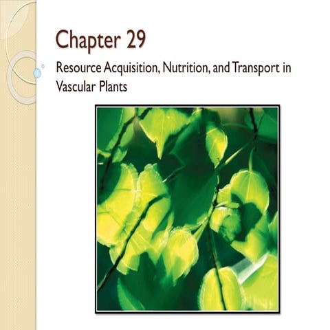C2-3-Plant-Transport-Nutrition.pdf