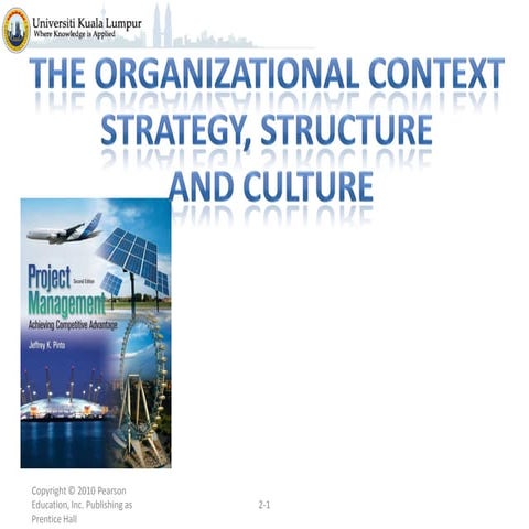 C2 -the_organizational_context_-_strategy_structure_and_culture | PDF ...
